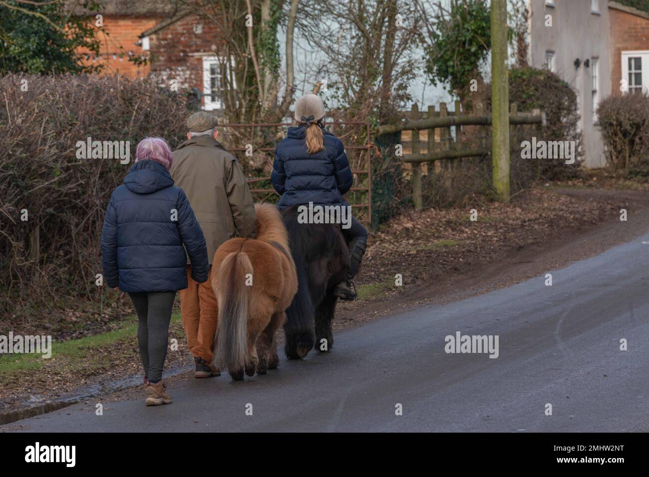 Donkey scratching hi-res stock photography and images - Alamy