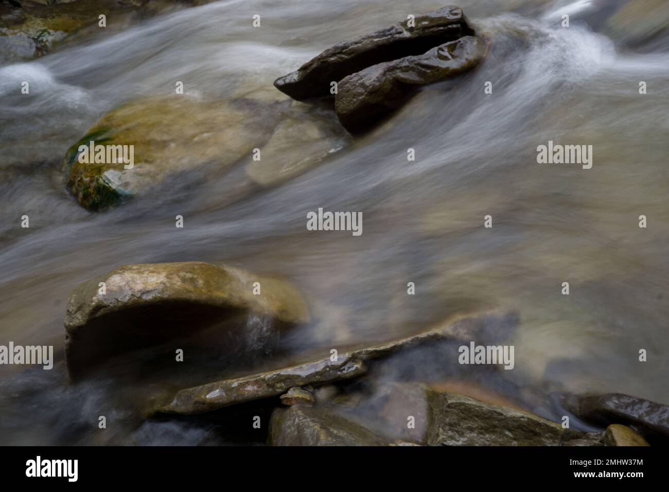 Close-up of a rock strewn stream in the woods Stock Photo - Alamy