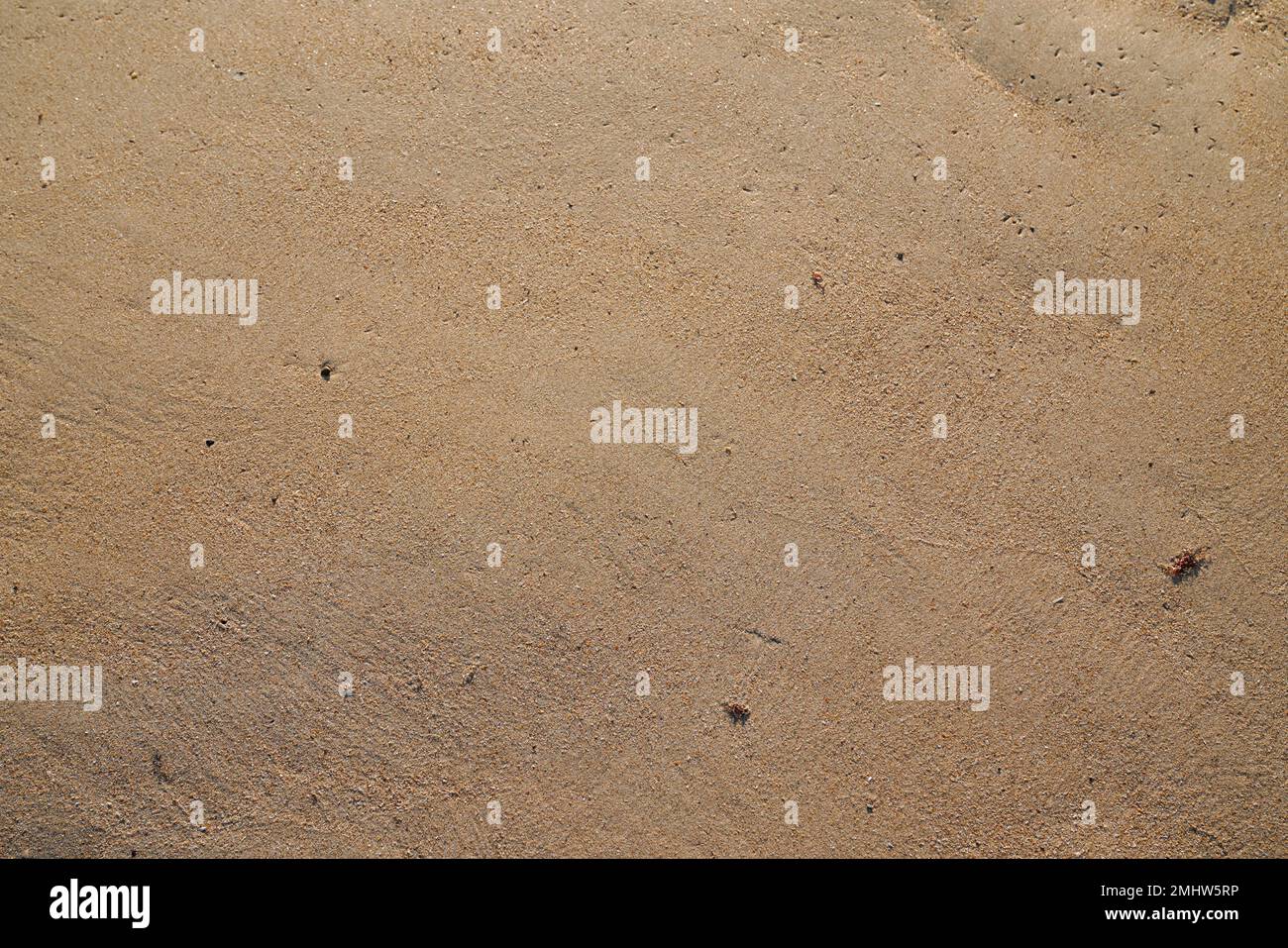 sandy background Flat lay sand sea beach textured backdrop Stock Photo ...