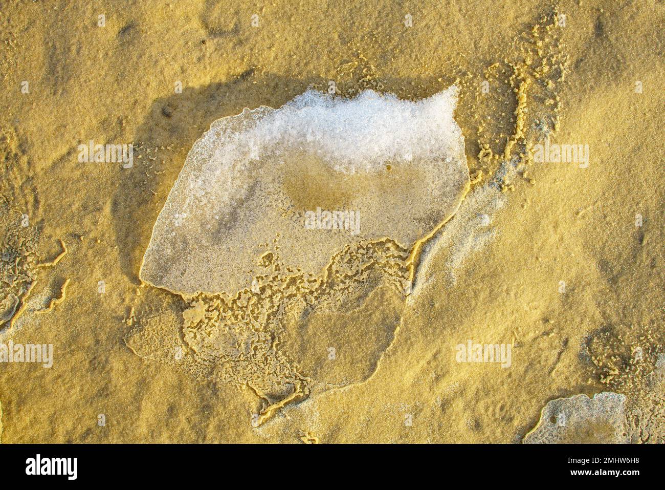 Natural background texture of frozen sand close-up. Winter beach view ...