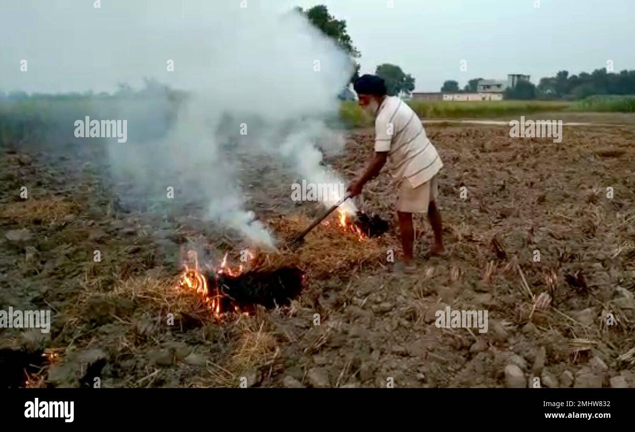 This Oct. 14, 2019 frame from video shows a farmer burning paddy ...