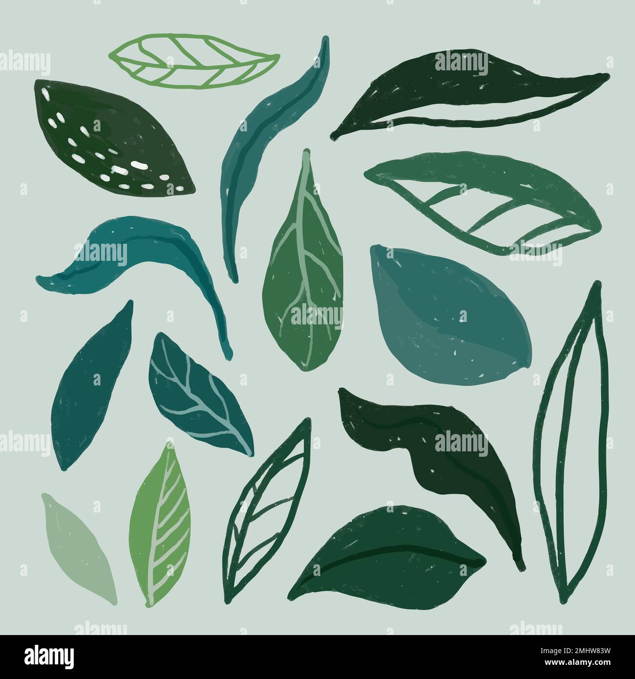 Cute hand drawn leaf set vector Stock Vector Image & Art - Alamy