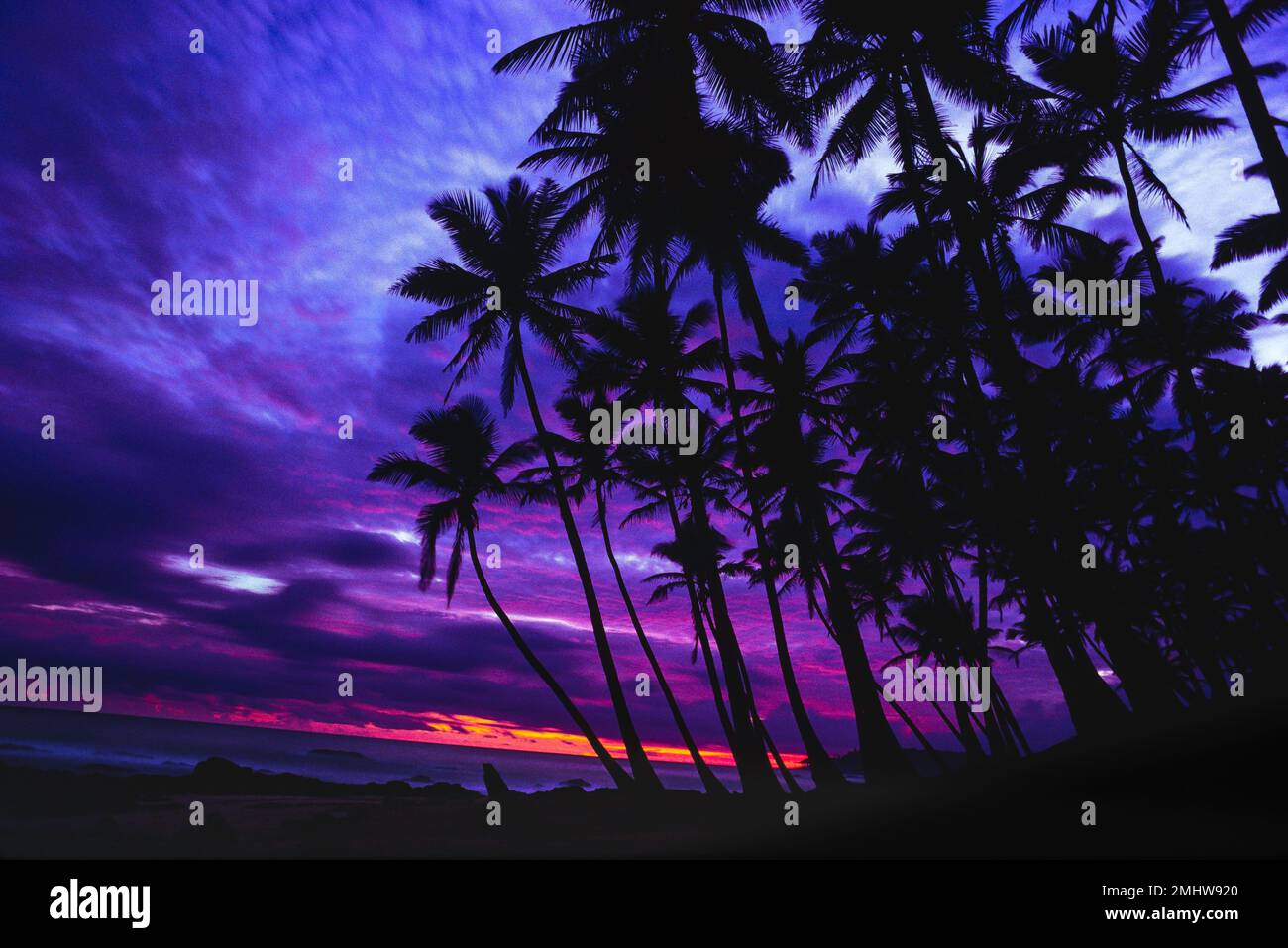 Tropical beach sunset view hi-res stock photography and images - Alamy