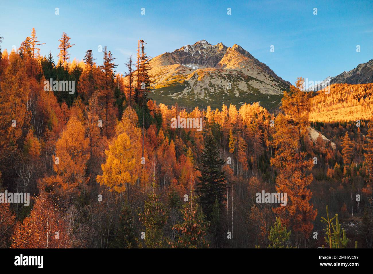 Autumn in the High Tatras is a sight to behold, with the Gerlach peak ...