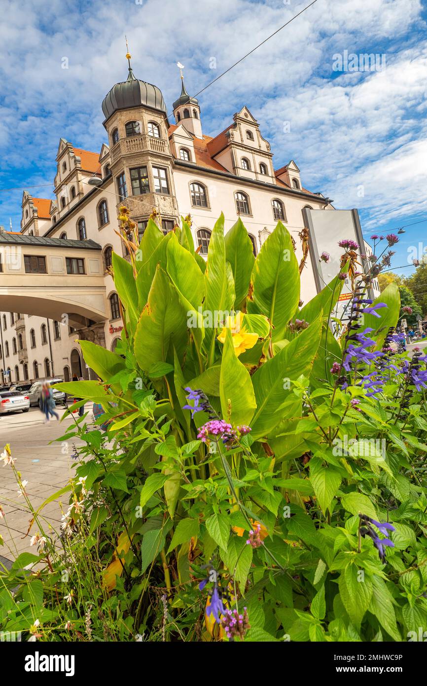 Typical Architecture, Street Scene, Munich, Bavaria, Germany, Europe ...