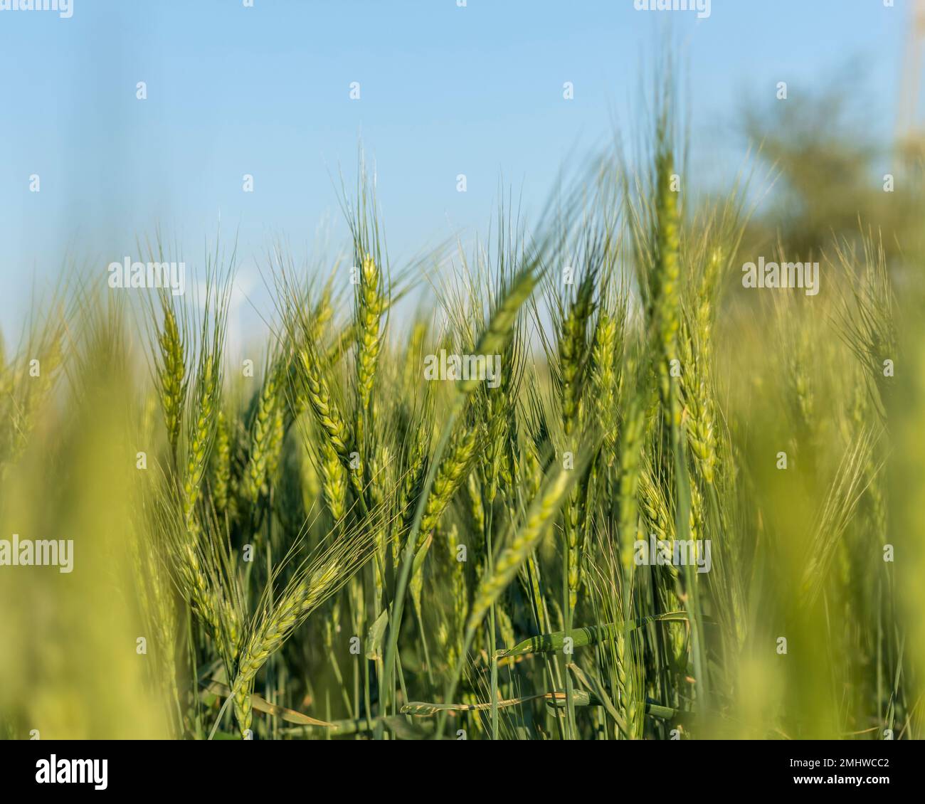 Pakistan energy hi-res stock photography and images - Alamy