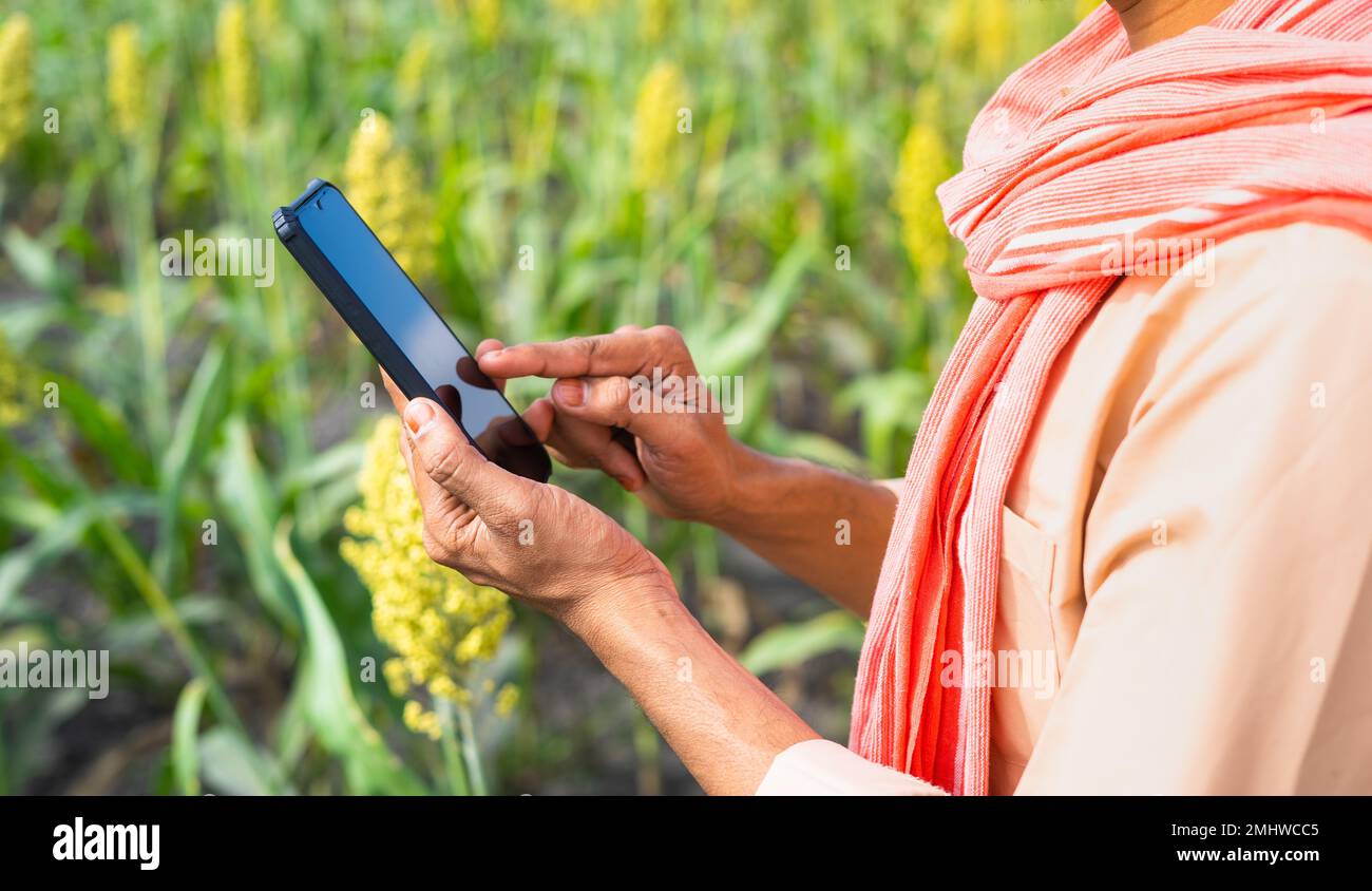 close up shot of farmer hands using mobile phone at corn field ...