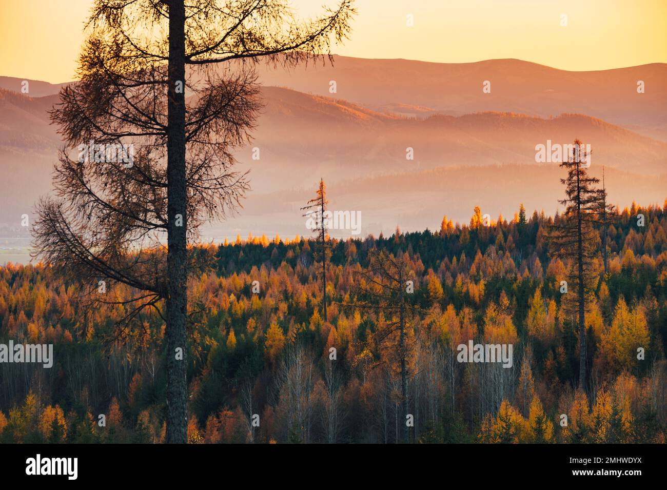 The High Tatras in autumn are a sight to behold, as the mountains are ...