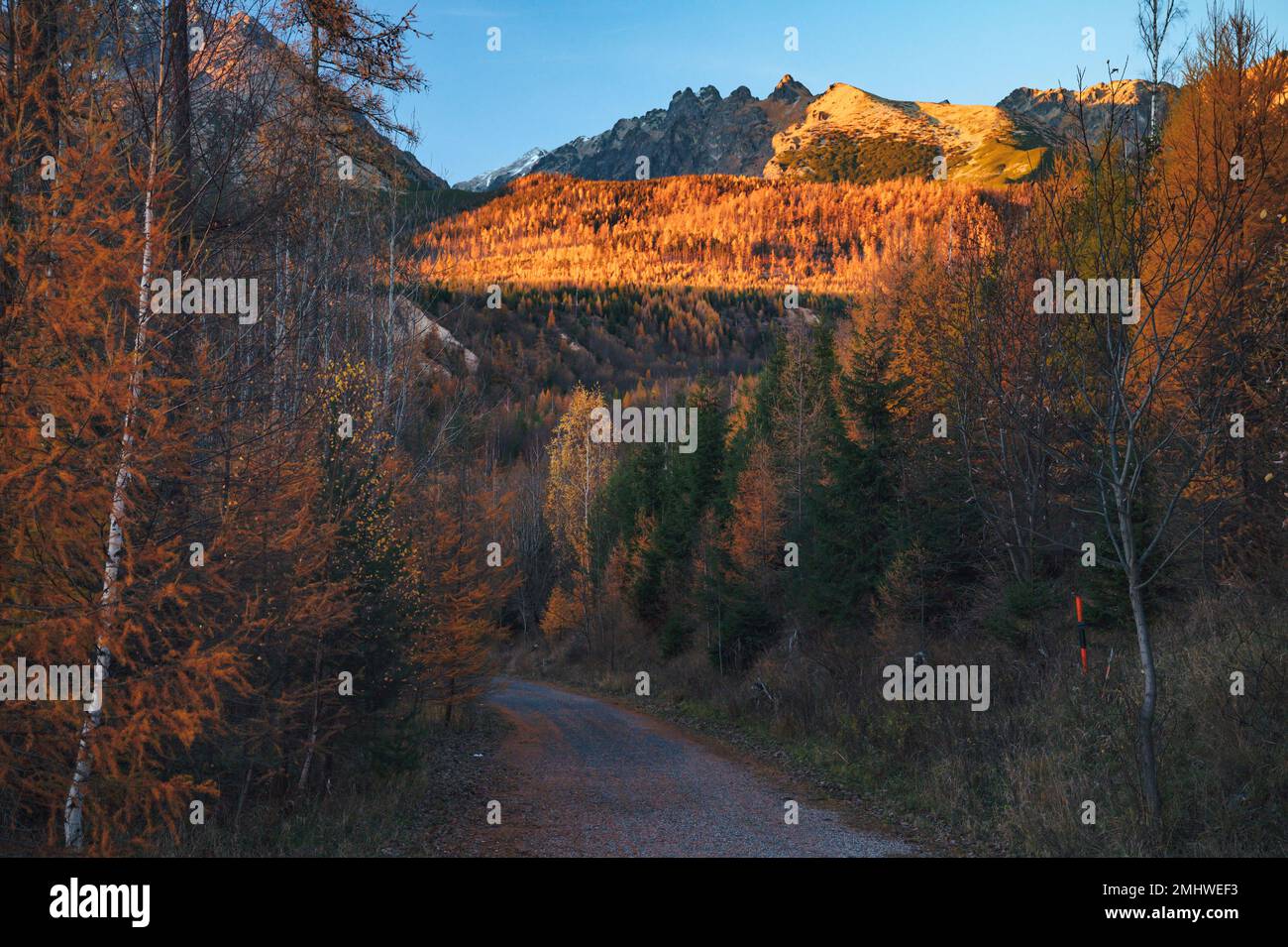 An autumn stroll in the High Tatras offers a view of the Gerlach peak ...