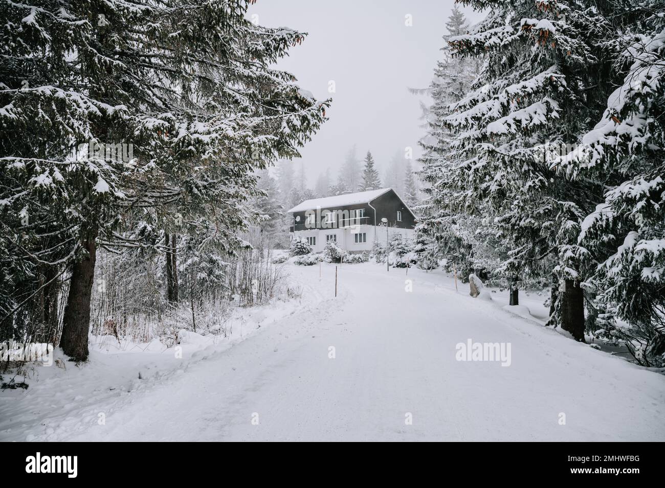 Cozy wooden cabin nestled in a winter wonderland of fresh snow ...