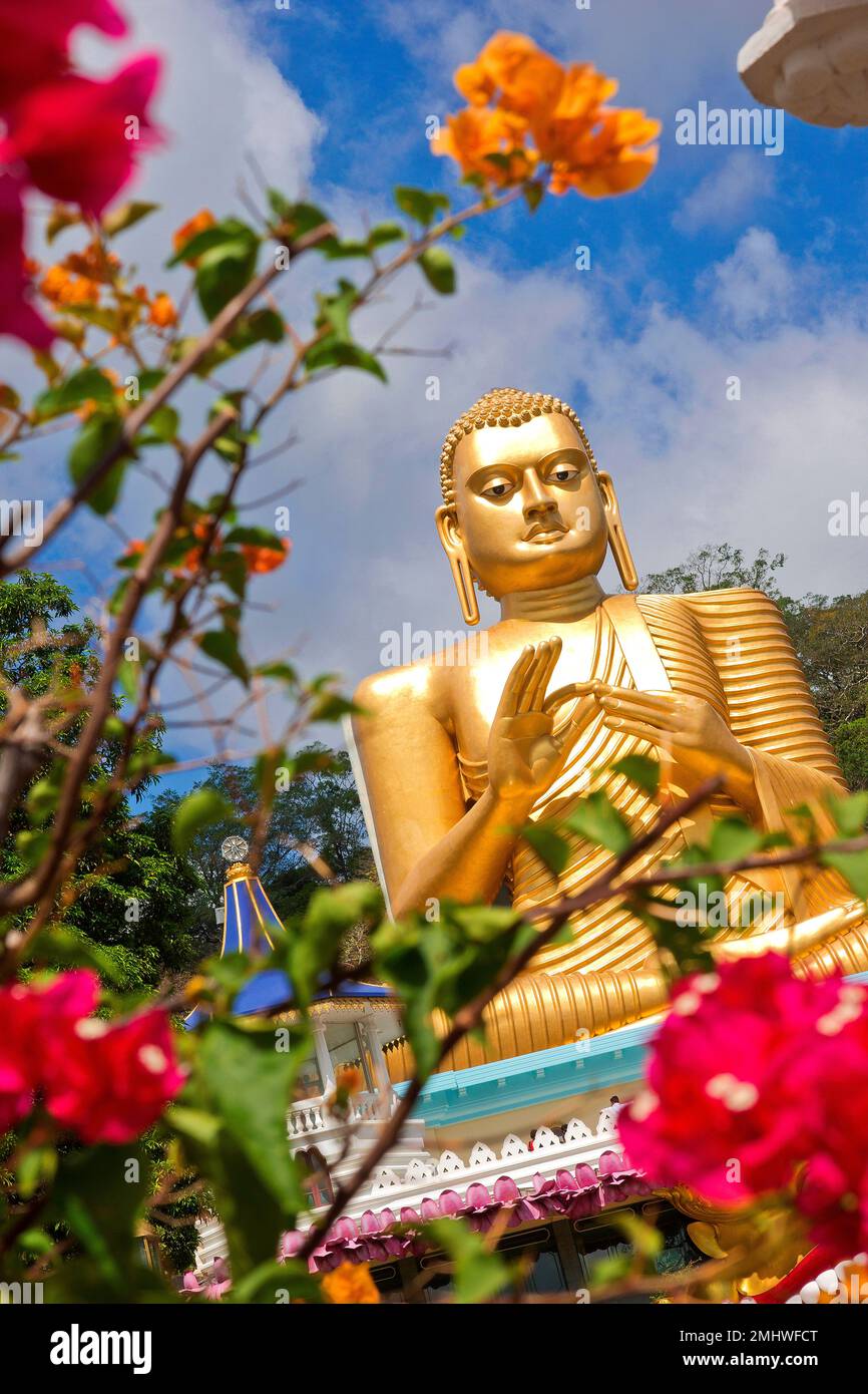 Golden Buddha Statue, Golden Temple of Dambulla, Dambulla Cave Temple ...