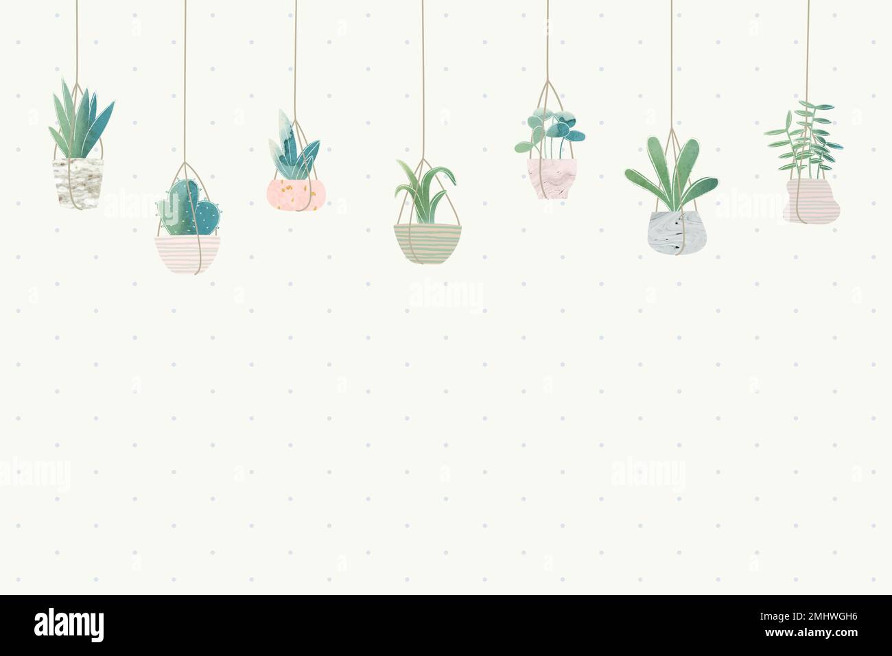 Blank cactus frame design vector Stock Vector Image & Art - Alamy
