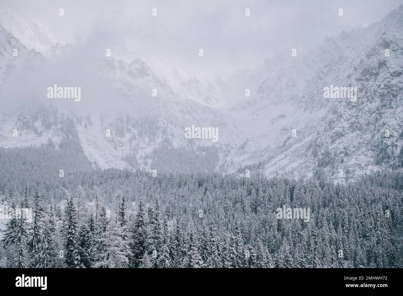 Snow capped peaks tatra hi-res stock photography and images - Alamy