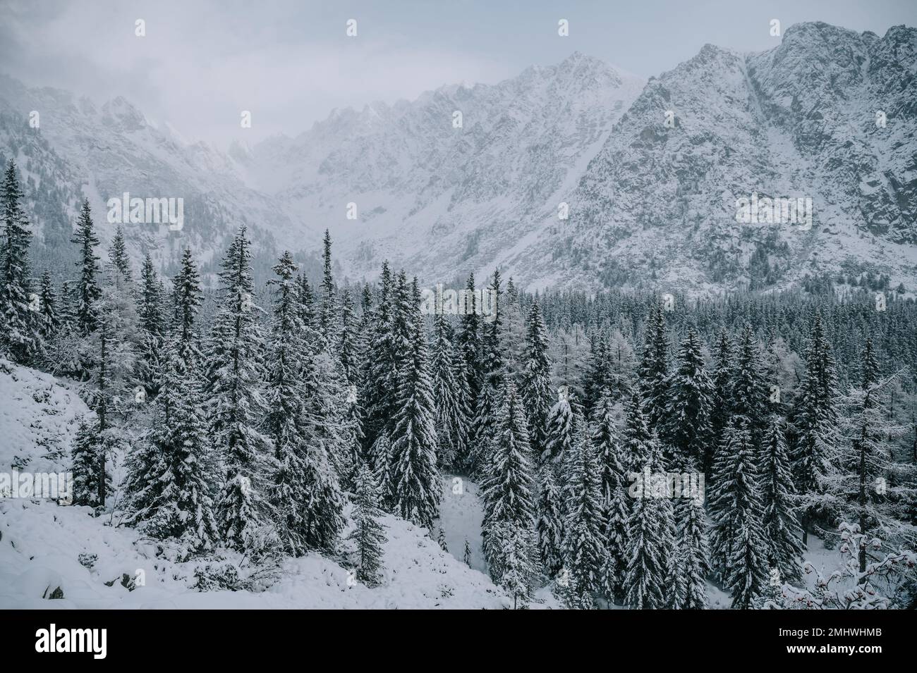 Winter Wonderland in the High Tatras. Winter wonderland in the ...