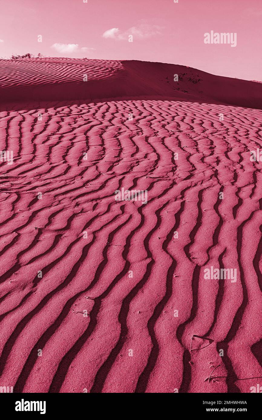 Waves of sandy dunes surface. Close-up natural landscape of dune sand ...