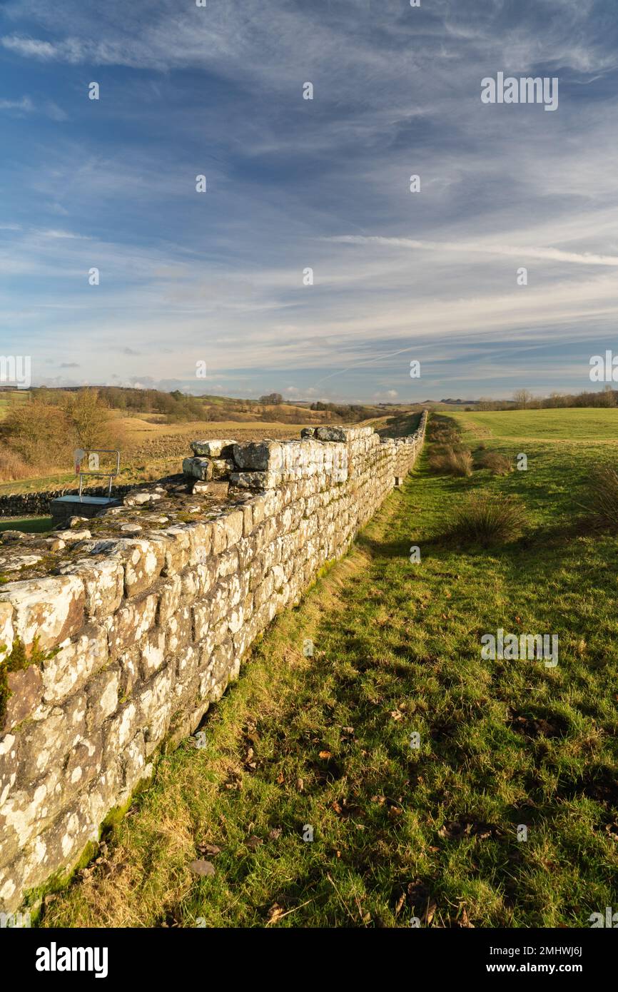 A stretch of Hadrian's Wall at Birdoswald, Cumbria Stock Photo - Alamy