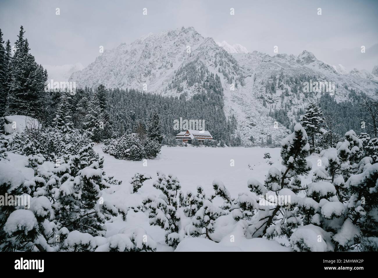 Poprad mountains hi-res stock photography and images - Alamy