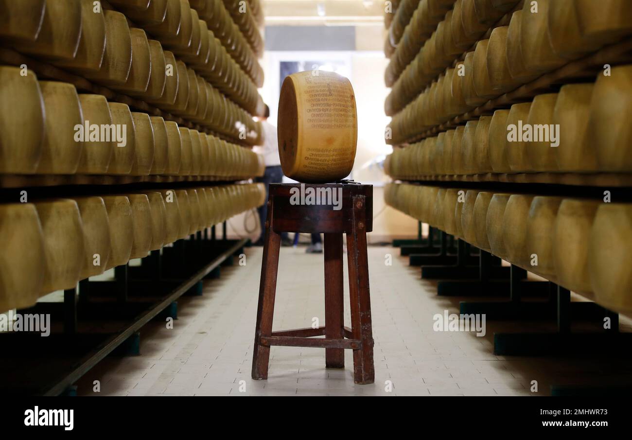 A view of Parmigiano Reggiano Parmesan cheese wheels in Noceto, Parma ...