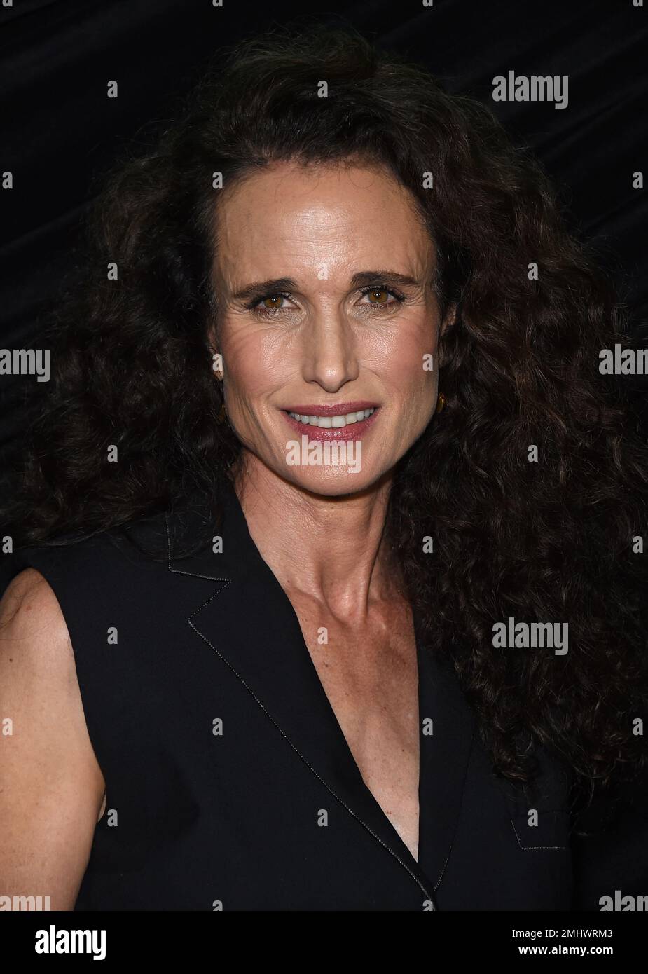 Andie MacDowell poses at a Los Angeles special screening of "Bombshell ...