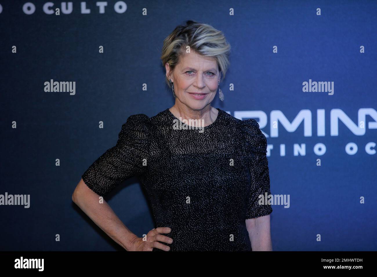 U.S. actor Linda Hamilton attends the red carpet fan event for the film ...