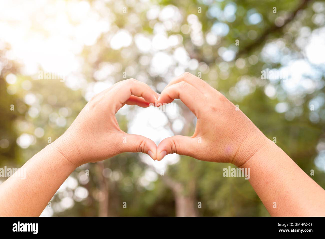 Two hands intertwined in a heart shape, nature background Stock Photo ...