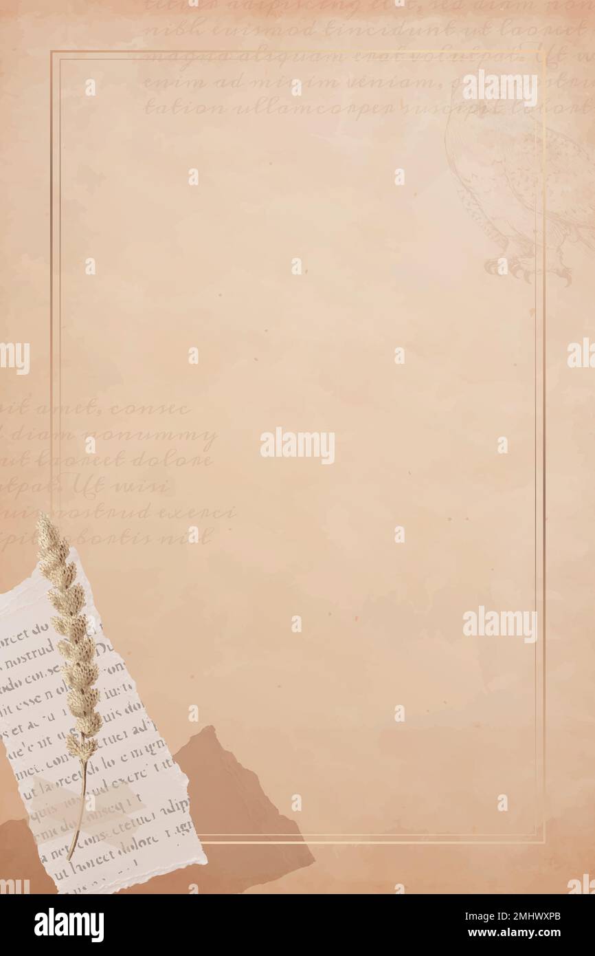 Ripped newspaper and flower stem on old brown paper banner vector Stock ...