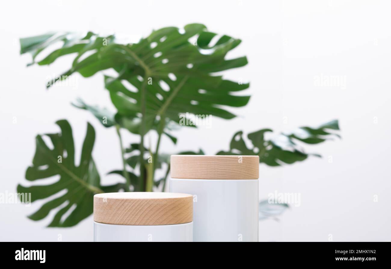 empty wood podium on green grass monstera tropical forest plant on ...