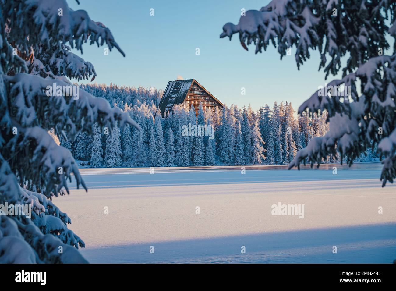 Winter scenery in High Tatras. White landscape before Christmas Stock ...
