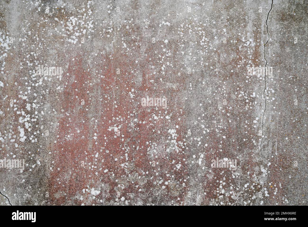 grey old concrete wall red background gray plaster roughcast Stock ...