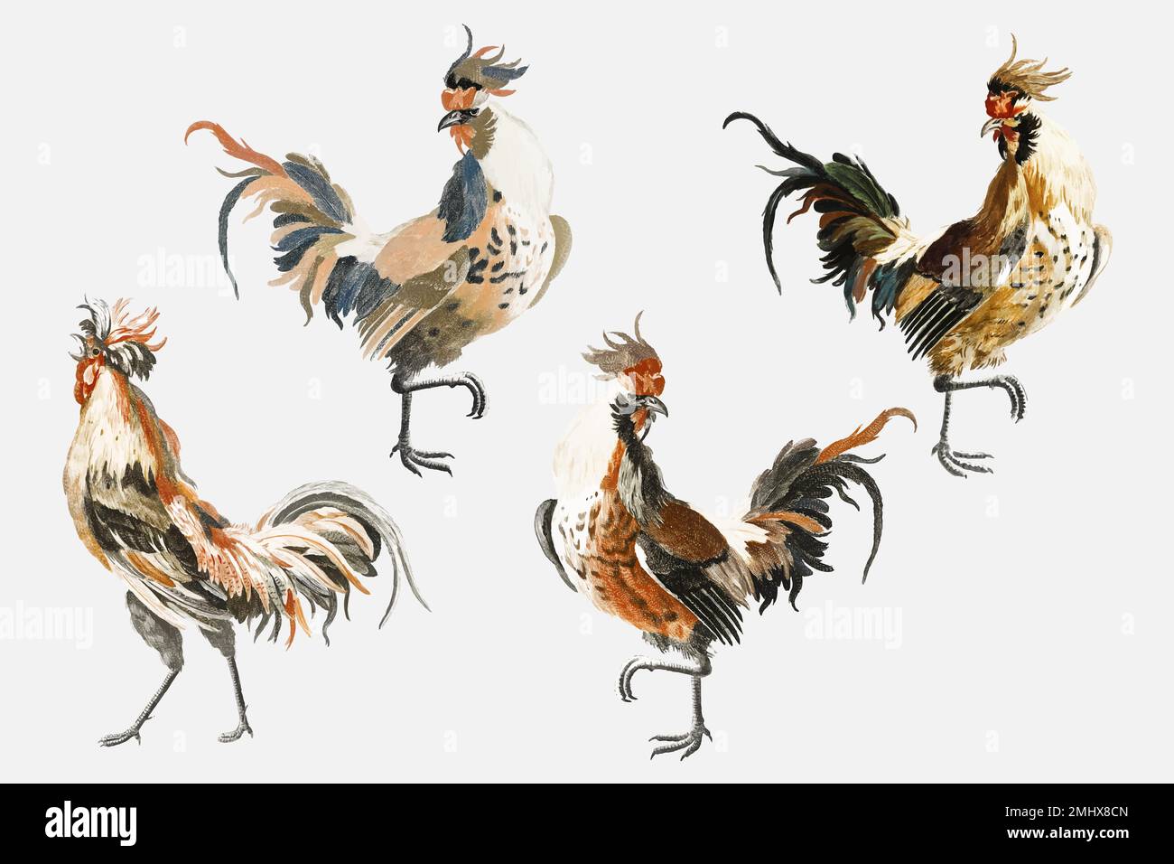 Vintage style illustration hen Stock Vector Images - Alamy