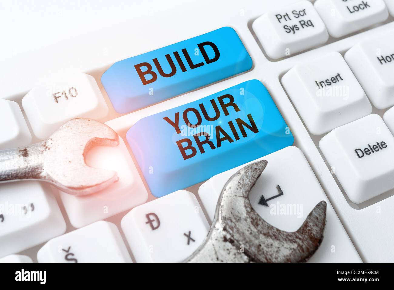 Text showing inspiration Build Your Brain. Business idea mental ...