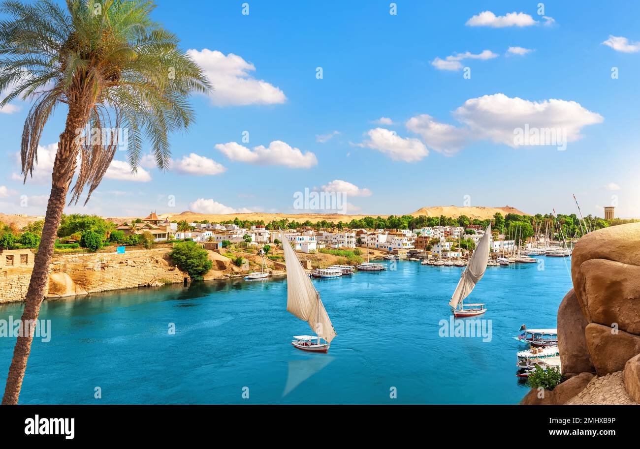 Aerial view on Aswan villages by the Nile behind the palm, Egypt Stock ...
