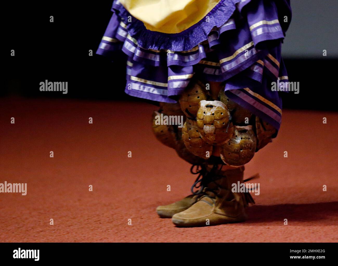 Traditional Stomp Dance rattles, made from turtle shells, are worn by a ...