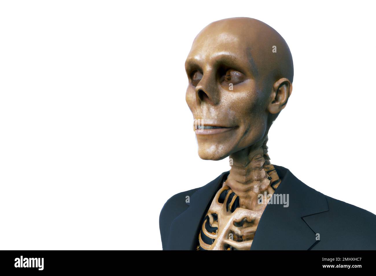Portrait of Human Skeleton in a business suit – Digital 3D Illustration ...