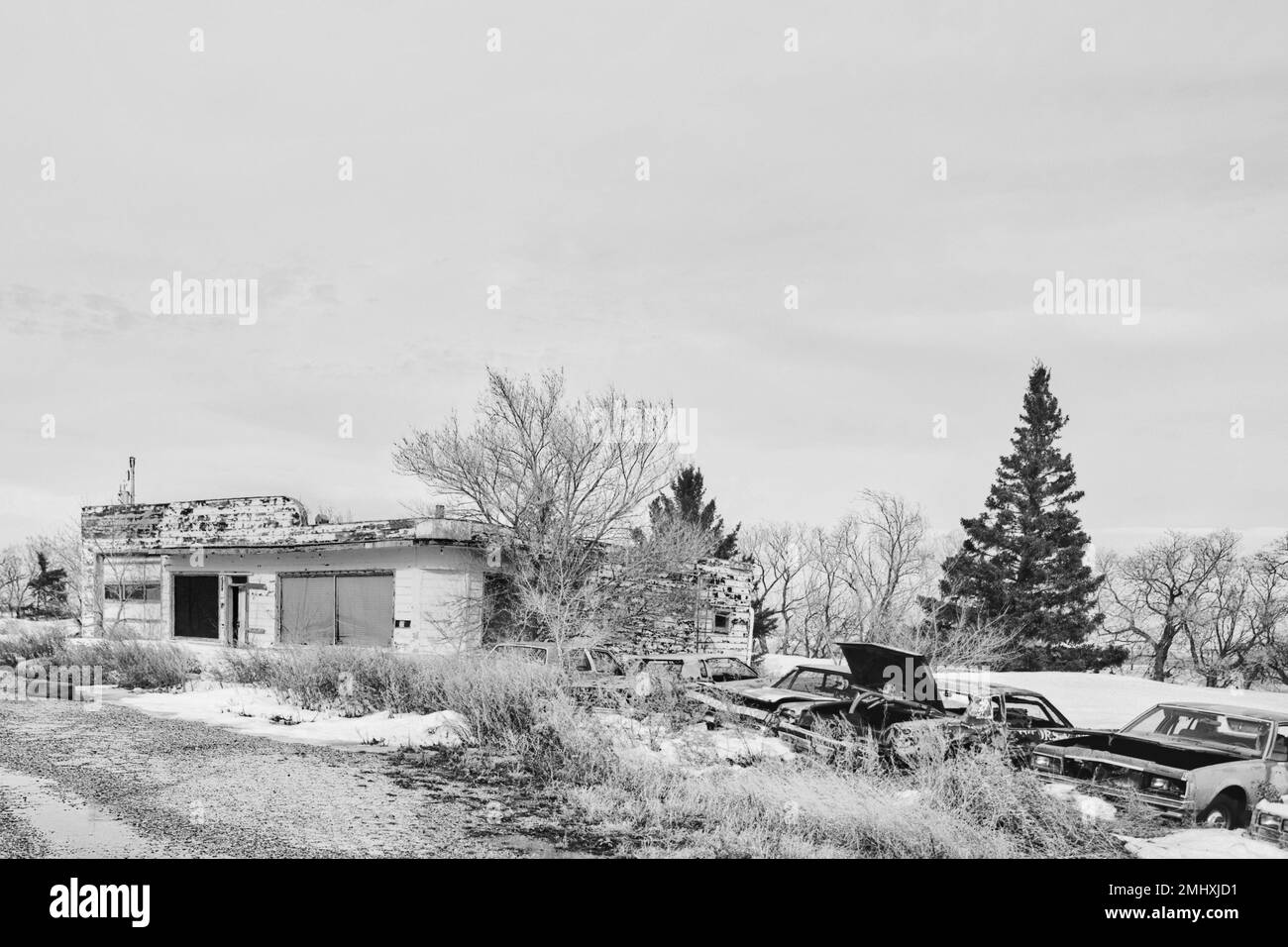 Abandoned old autobody shop beside a row of wrecked cars in a black and ...