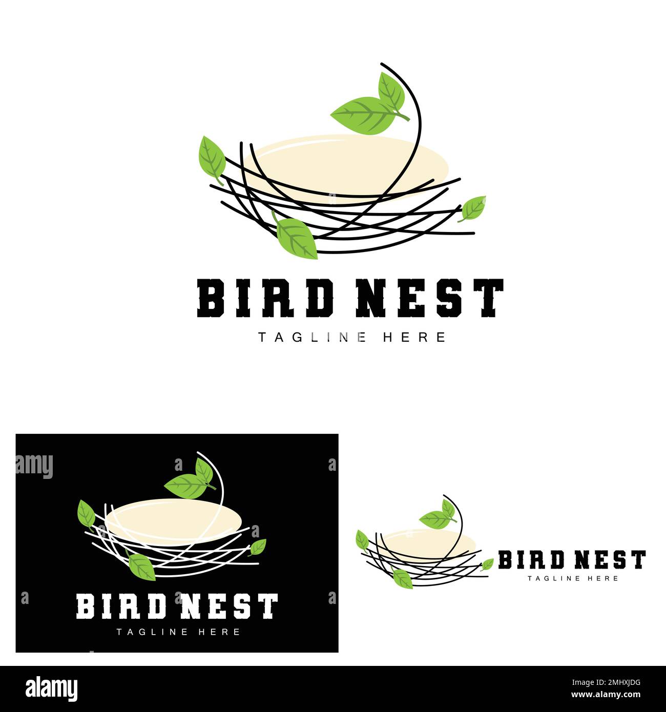 Birds Nest Logo Design Bird House Vector For Eggs Bird Tree Logo