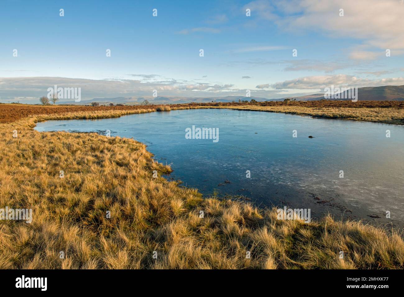 Large iced over pond hi-res stock photography and images - Alamy