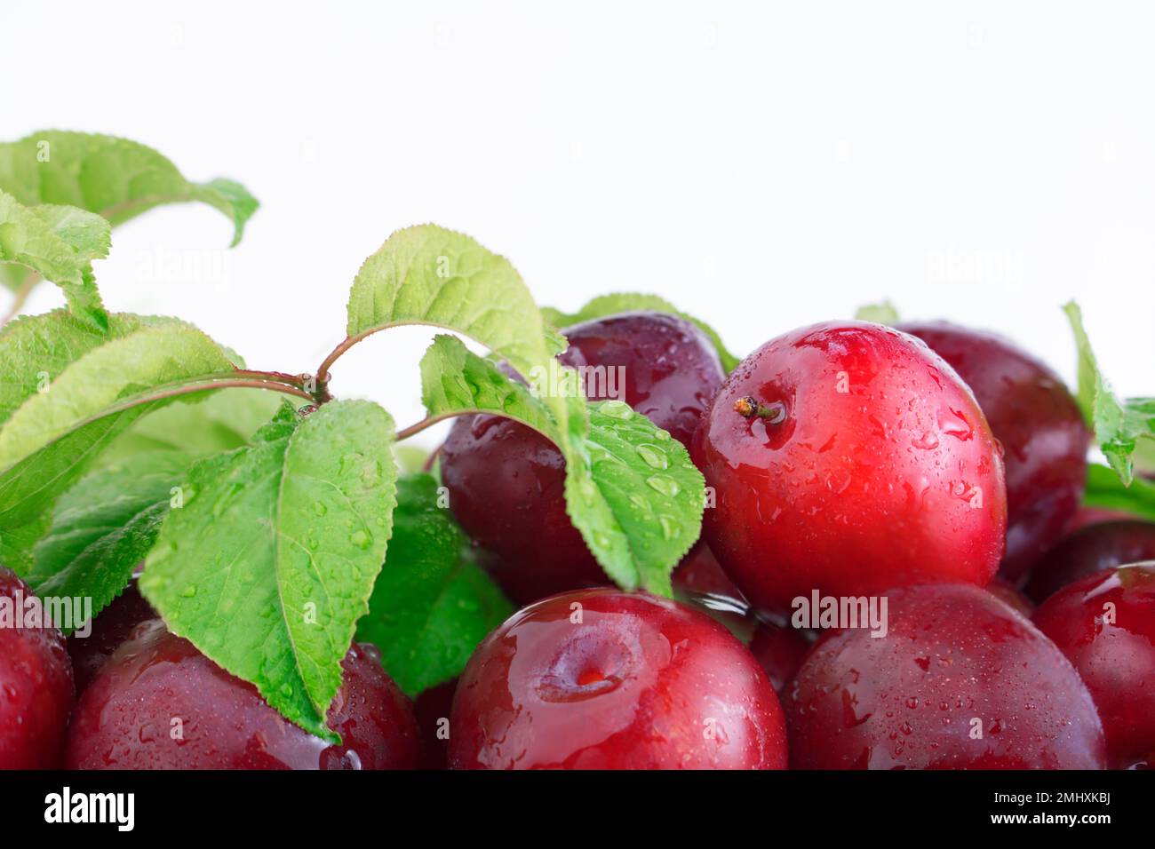 Fresh plums with leaves and water drops, macro photo. Texture ...