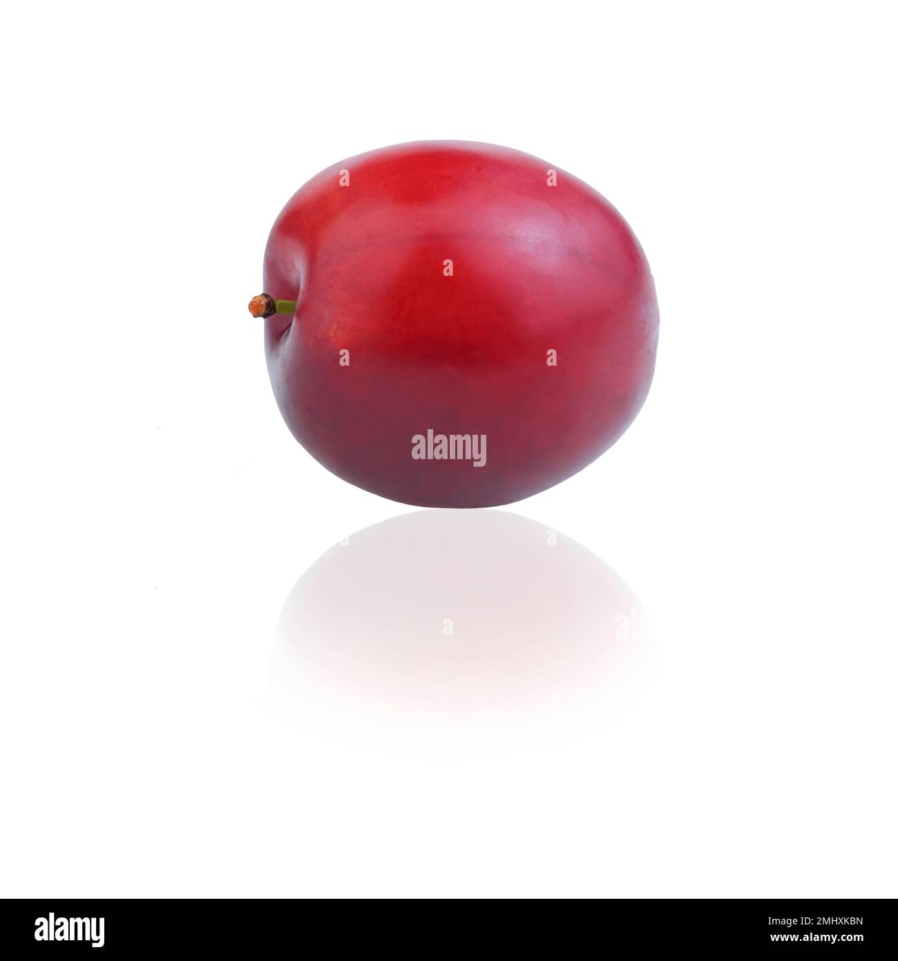 Tropical plant reflection Cut Out Stock Images & Pictures - Alamy