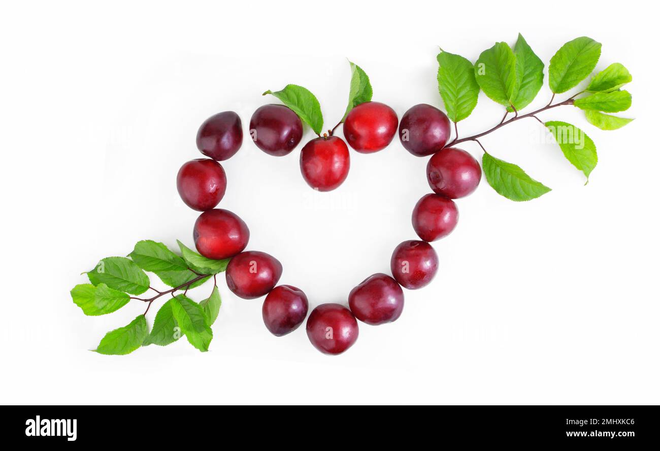 Fresh plums in the shape of a heart isolated on a white background ...