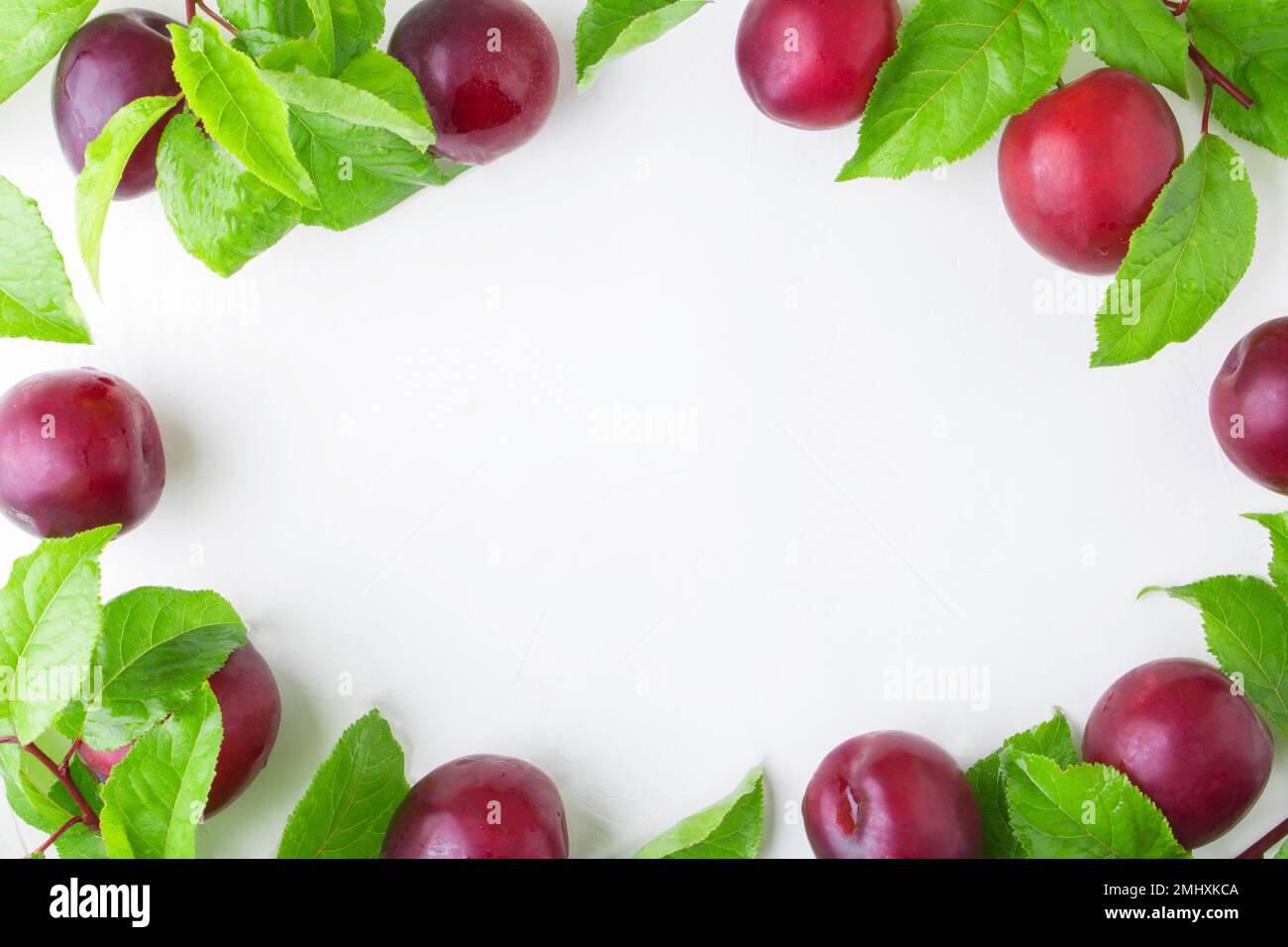Fresh plums with leaves and water drops on a white concrete background ...
