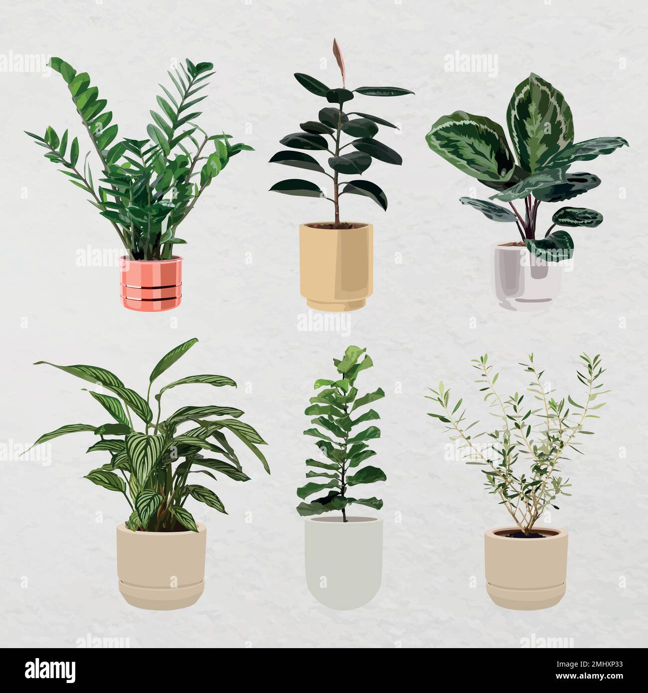 Plant vector art set, houseplant in a flower pot Stock Vector Image ...