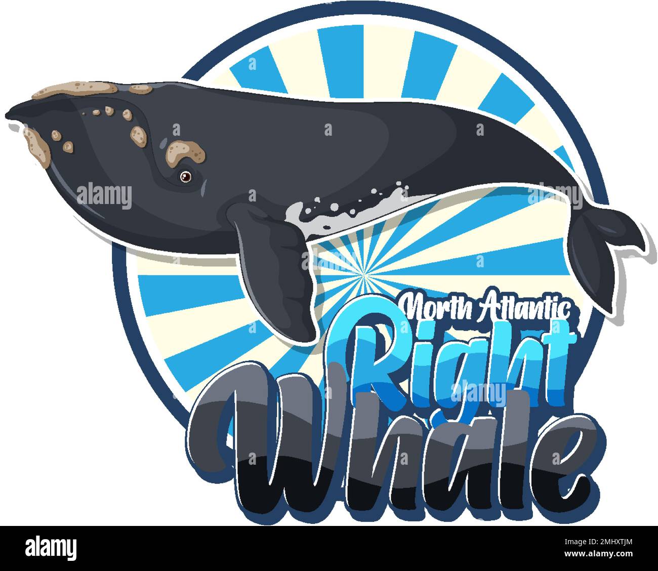 Atlantic right whale Stock Vector Images - Alamy
