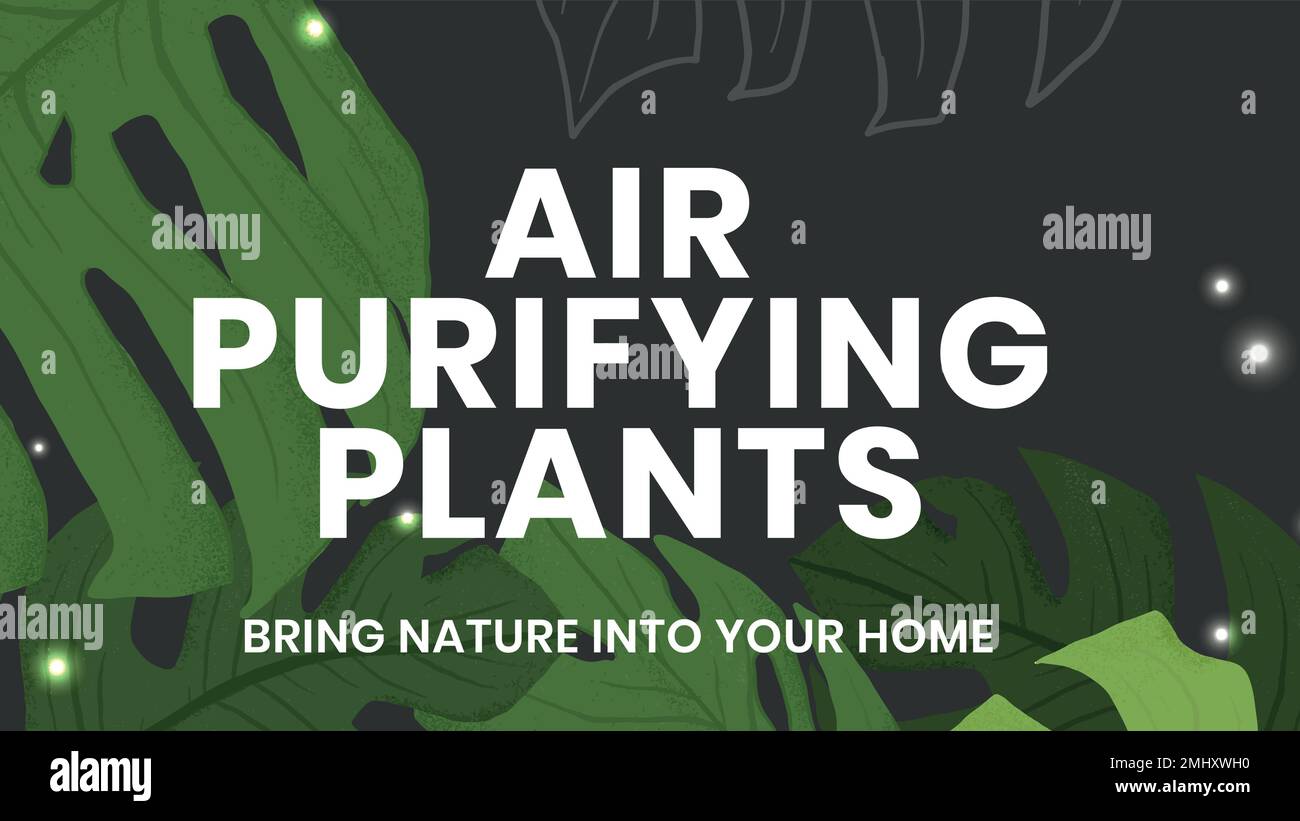 Blog banner template vector botanical background with air purifying ...