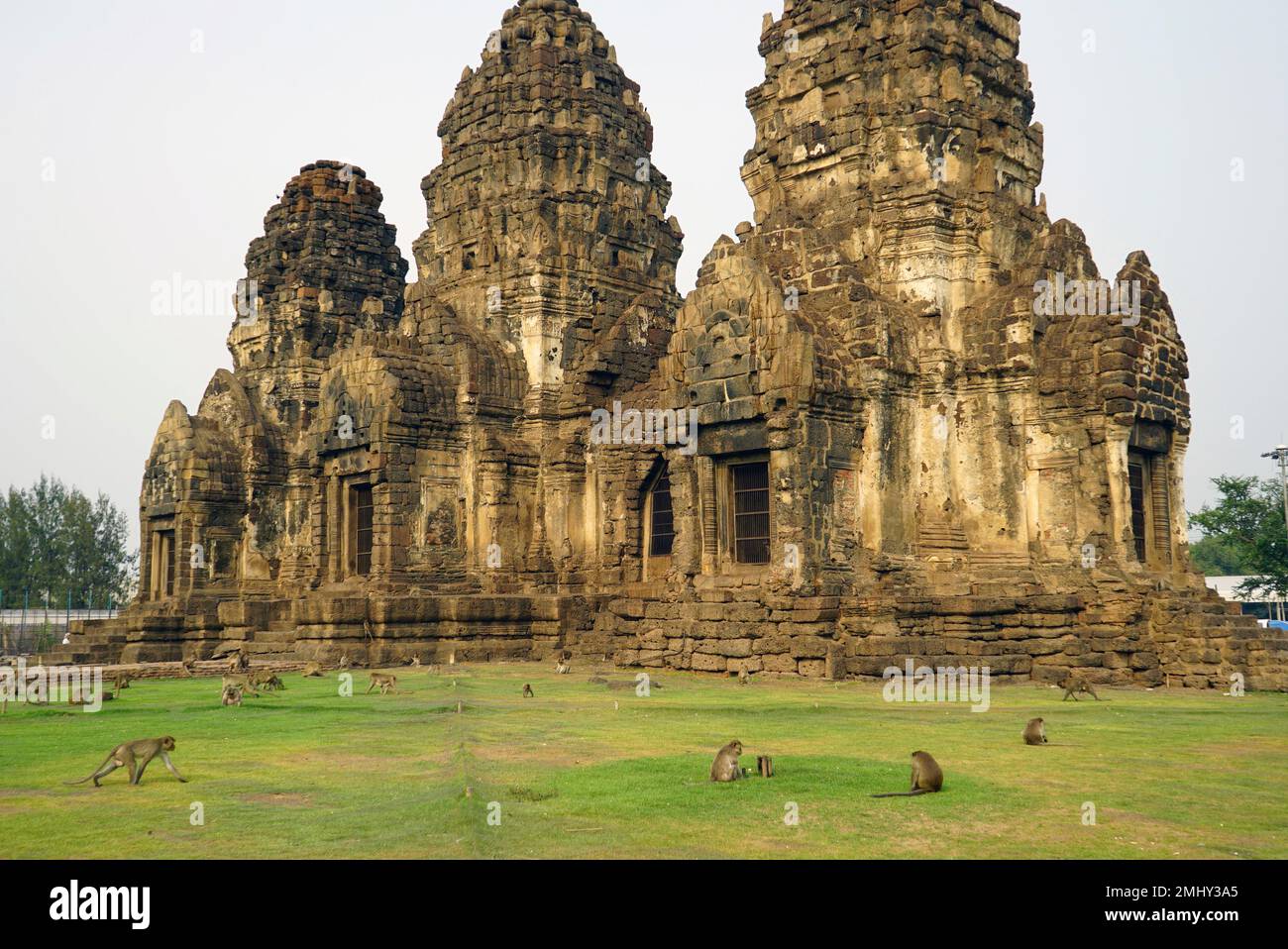 This March 16, 2019 photo shows local monkeys gathering at Phra Prang ...