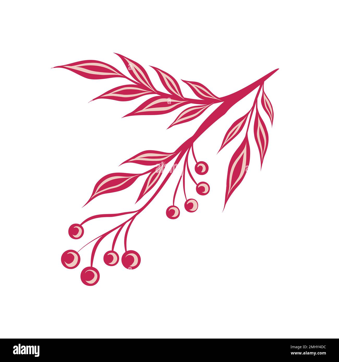 Vector illustration of a decorative rowan branch. A twig with berries ...