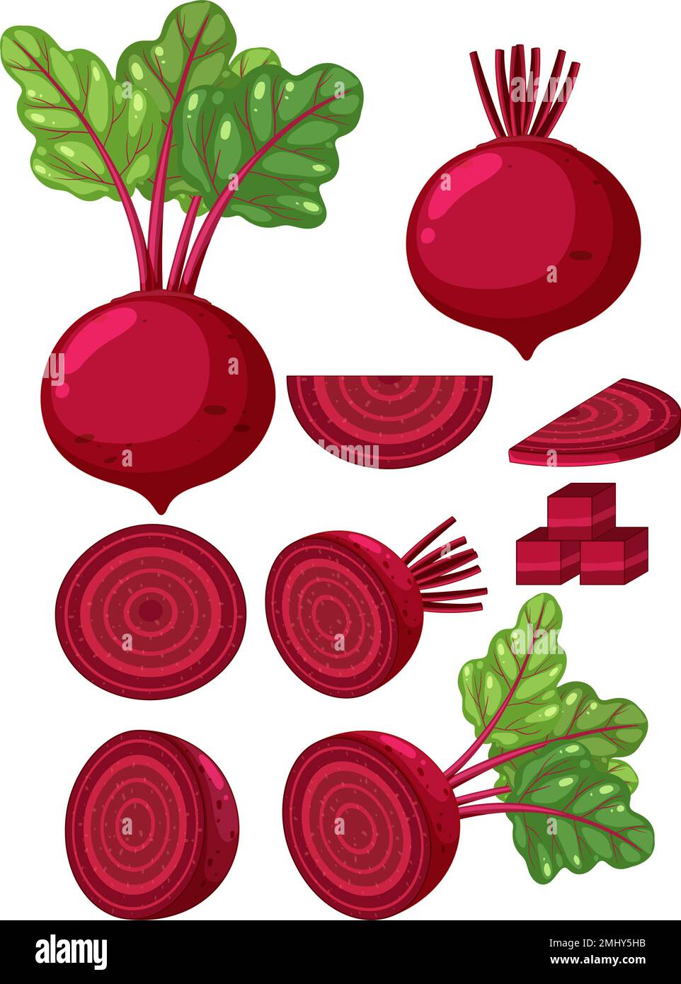 Beetroot in whole and sliced pieces illustration Stock Vector Image ...