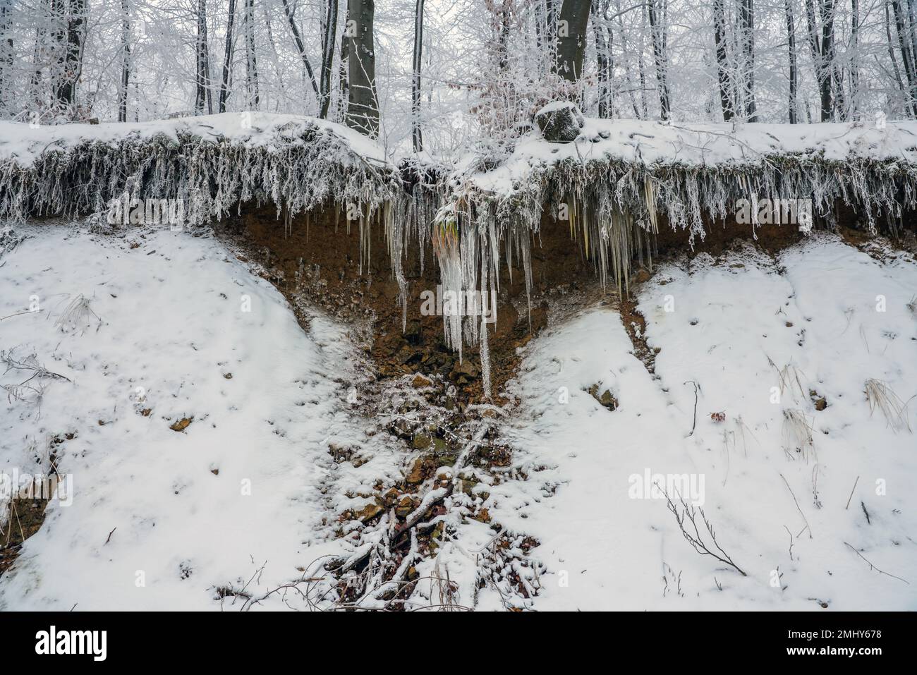 Mountain landscapes in winter with frozen trees and snow Stock Photo ...