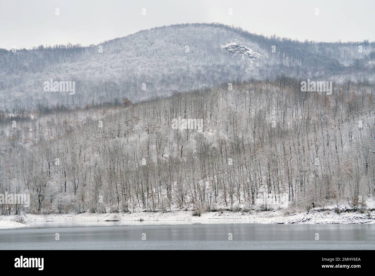 Mountain landscapes in winter with frozen trees and snow Stock Photo ...