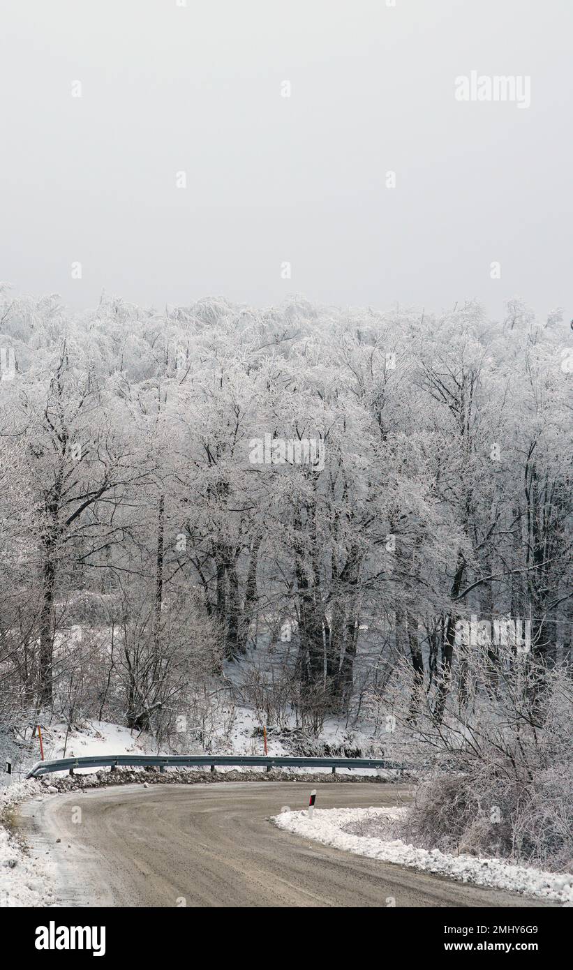 Mountain landscapes in winter with frozen trees and snow Stock Photo ...